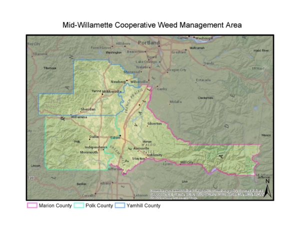 Mid-Willamette CWMA - Marion SWCD