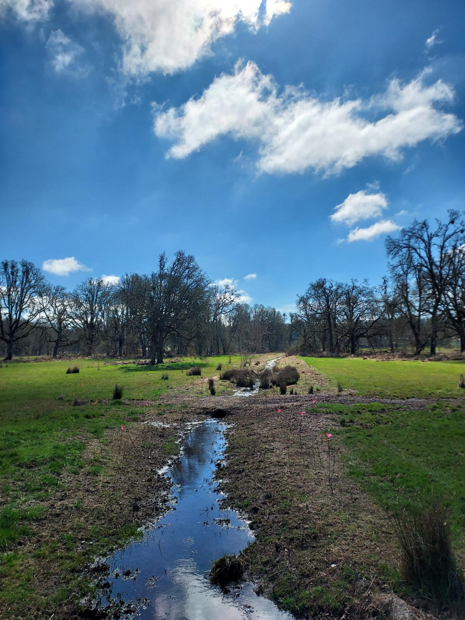 Conservation Club: Oak and Prairie Tour - Marion SWCD
