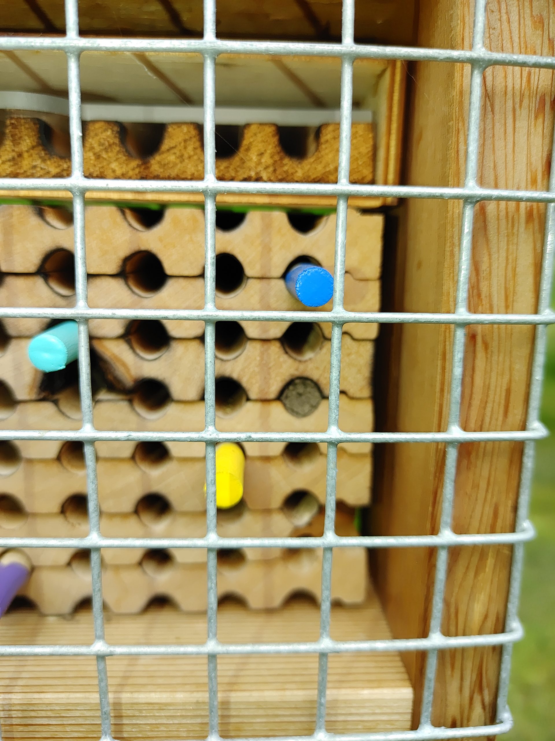 Mason Bees - Marion SWCD