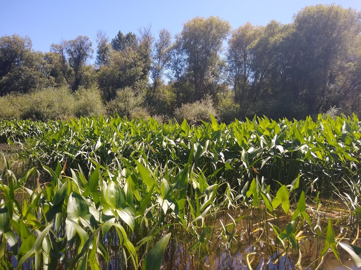 Wapato - Marion SWCD