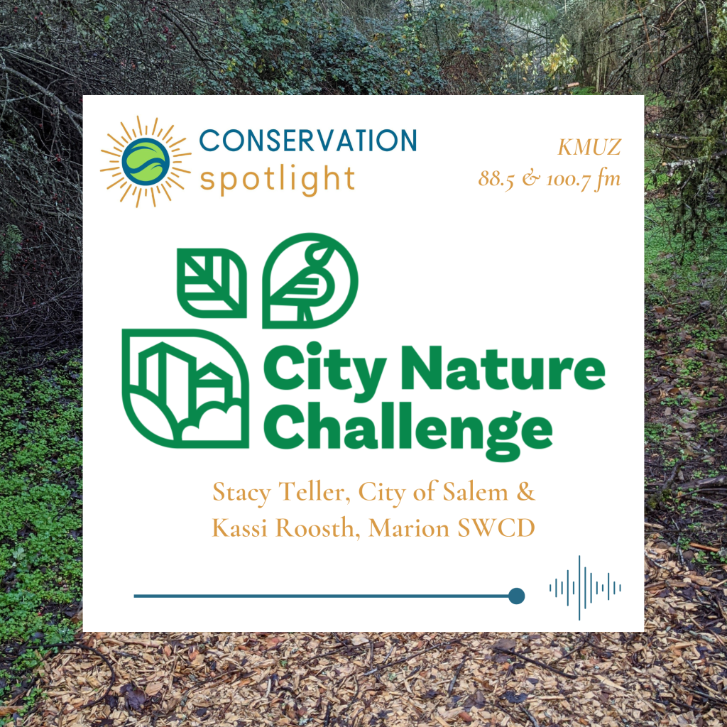 Conservation Spotlight: City Nature Challenge - Marion SWCD
