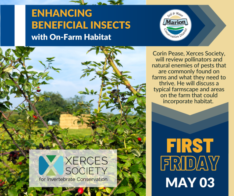 First Friday: Enhancing Beneficial Insects with On-Farm Habitat ...