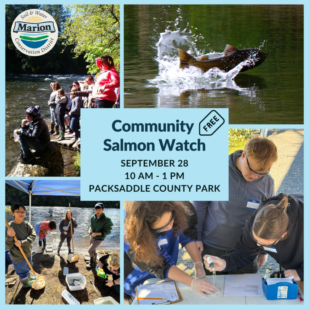 Community Salmon Watch - Marion SWCD